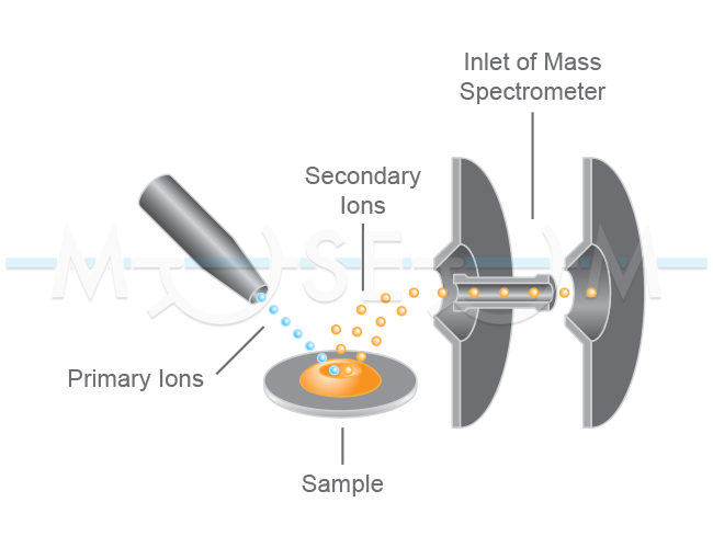 Mass Spectrometry Mass Spectrometry